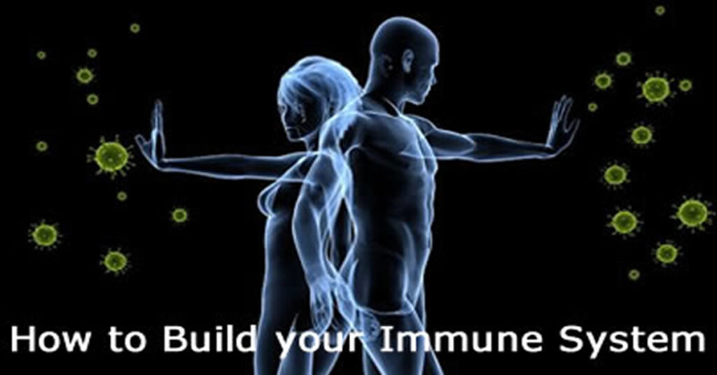 How to Build Your Immune System Up
