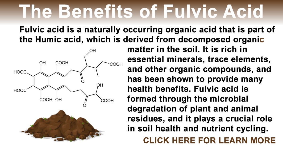 Fulvic Acid and its Benefits