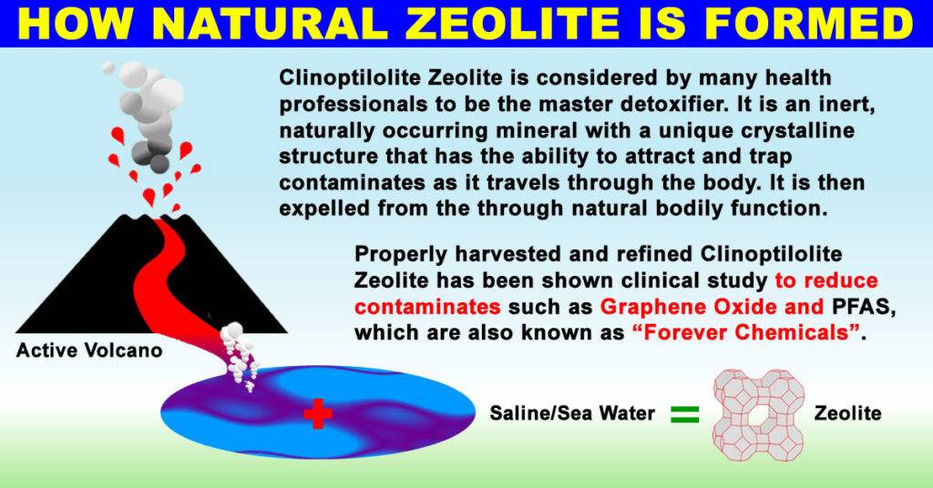 Zeolite, the Many Types and Their Applications